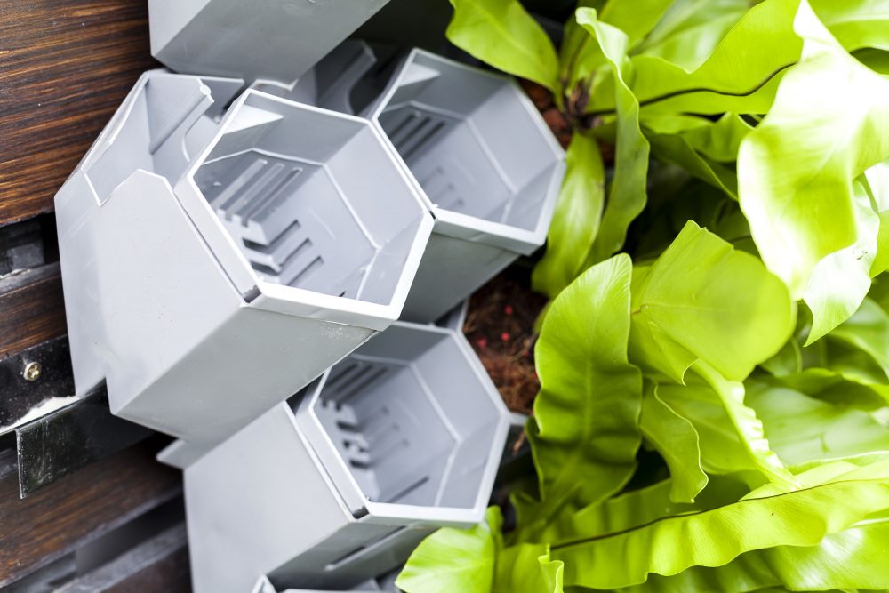 เนรมิตสวนแนวตั้งให้สวย รวดเร็วทันใจ กับ SCG Modular Green Hive ชุด DIY