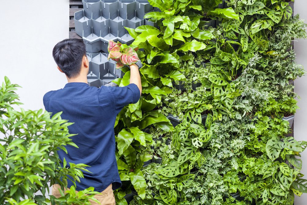 เนรมิตสวนแนวตั้งให้สวย รวดเร็วทันใจ กับ SCG Modular Green Hive ชุด DIY