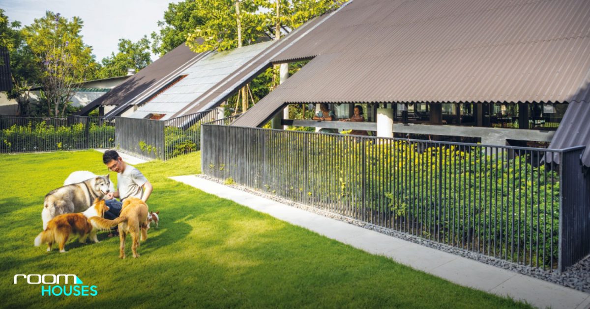 บ้านสุนัขDOXhouse บ้านที่คนและน้องหมาได้แชร์ความสุขกัน - บ้านและสวน