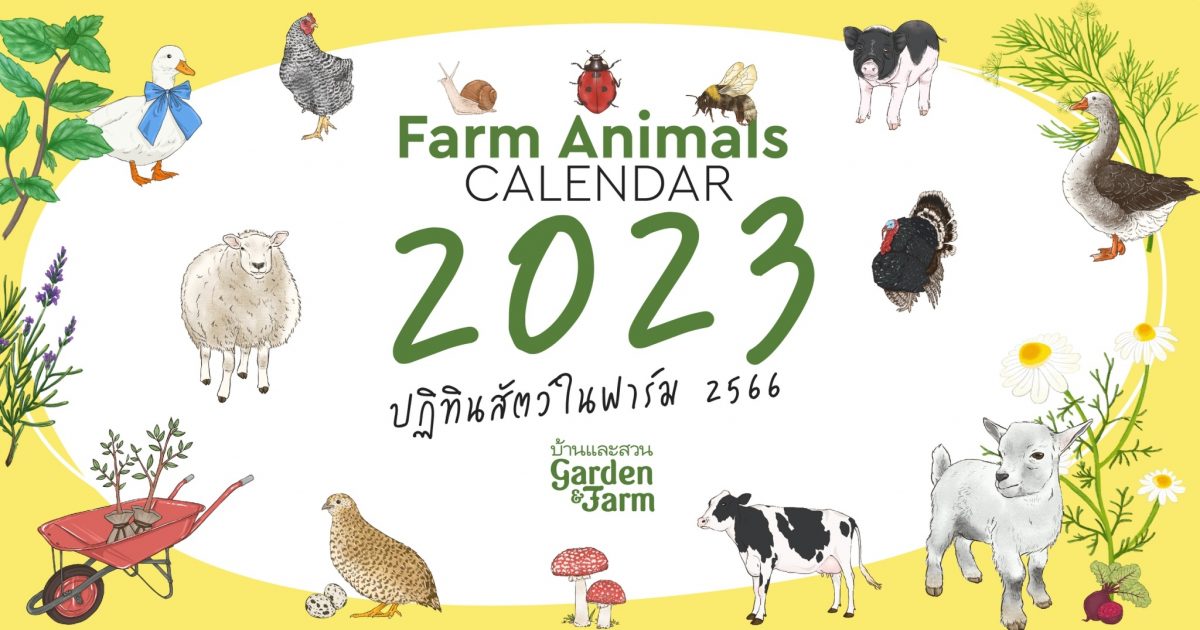 ปฏิทินปี 2566 – บ้านและสวน