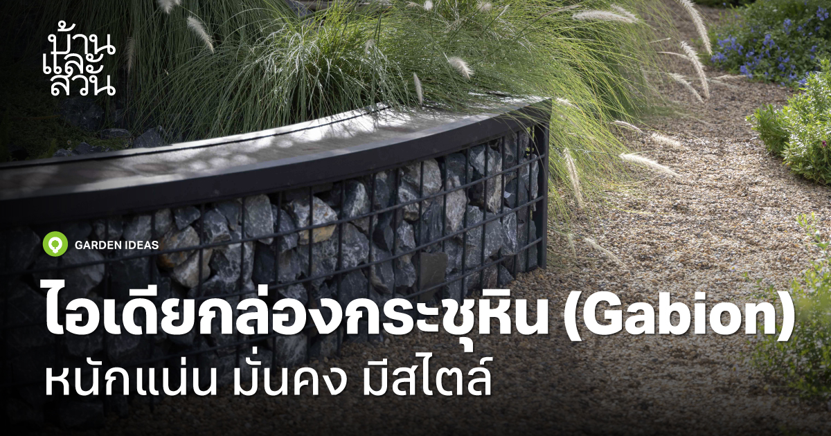 ไอเดียกล่องกระชุหิน (Gabion) เสริมเสน่ห์ในสวนอย่างเป็นธรรมชาติ - บ้านและสวน