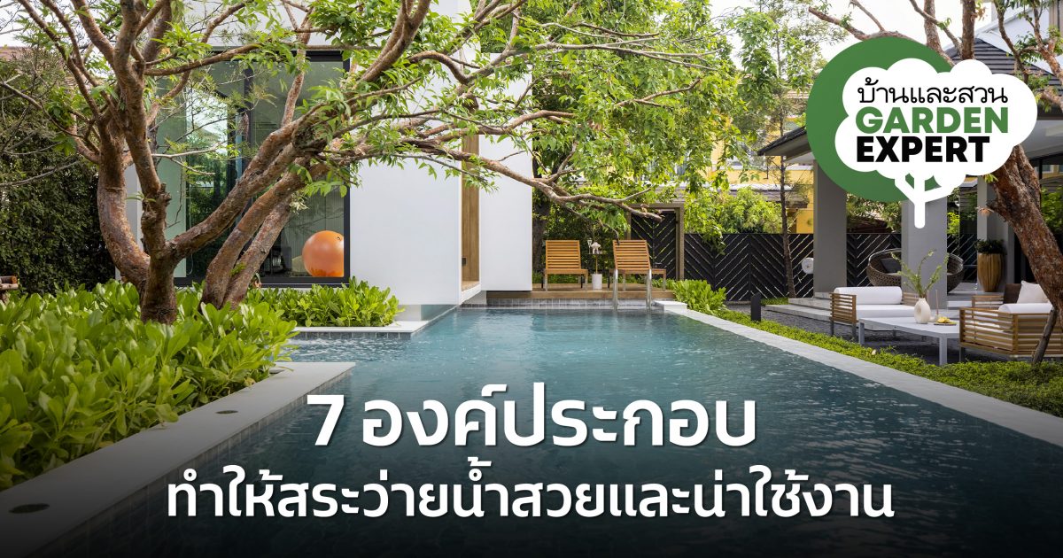 Ideas for Creating a Beautiful and Functional Swimming Pool Area – Archyde