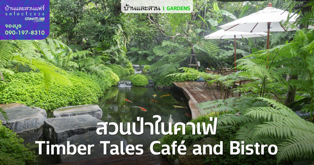 Timber Tales Café & Bistro สวนป่าในคาเฟ่ - บ้านและสวน