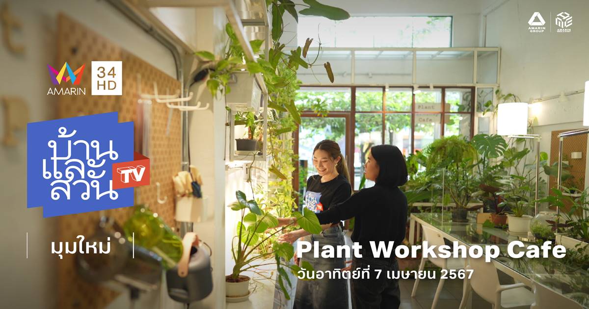ทำเวิร์กช็อปปลูกต้นไม้ นั่งทำงานชิล ๆ ที่ Plant Workshop Cafe