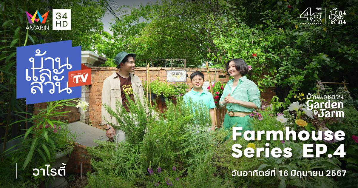 Urban Cottage Farm จัดสวนครัวรอบบ้านจัดสรร - บ้านและสวนทีวี